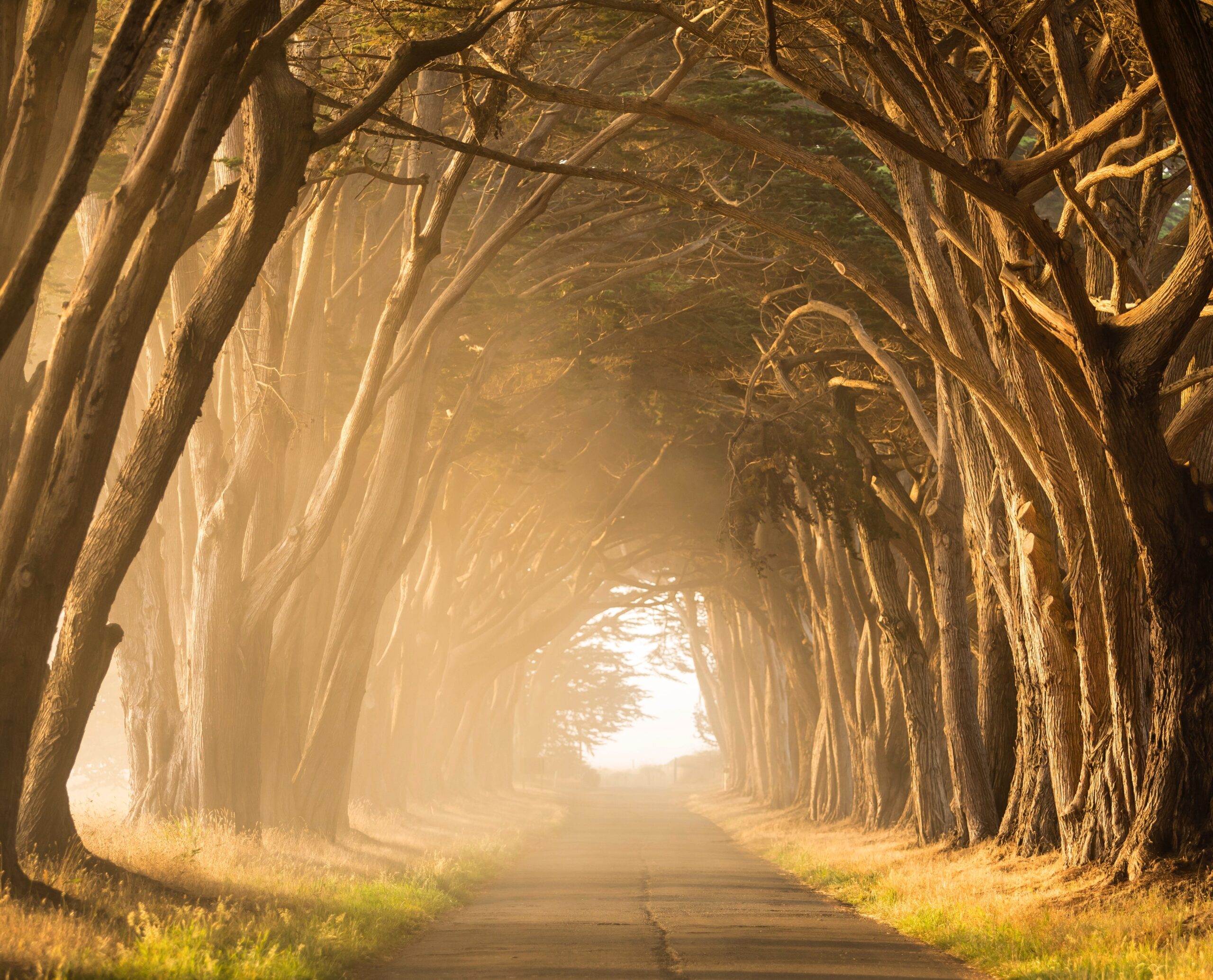 Challenging Chosenness: Beyond the Reconstructionist Movement - Evolve