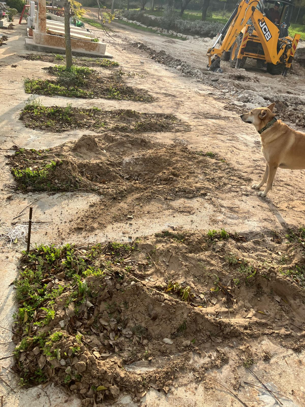 The Other Side of the Rain: At a Cemetery in the Galilee - Evolve